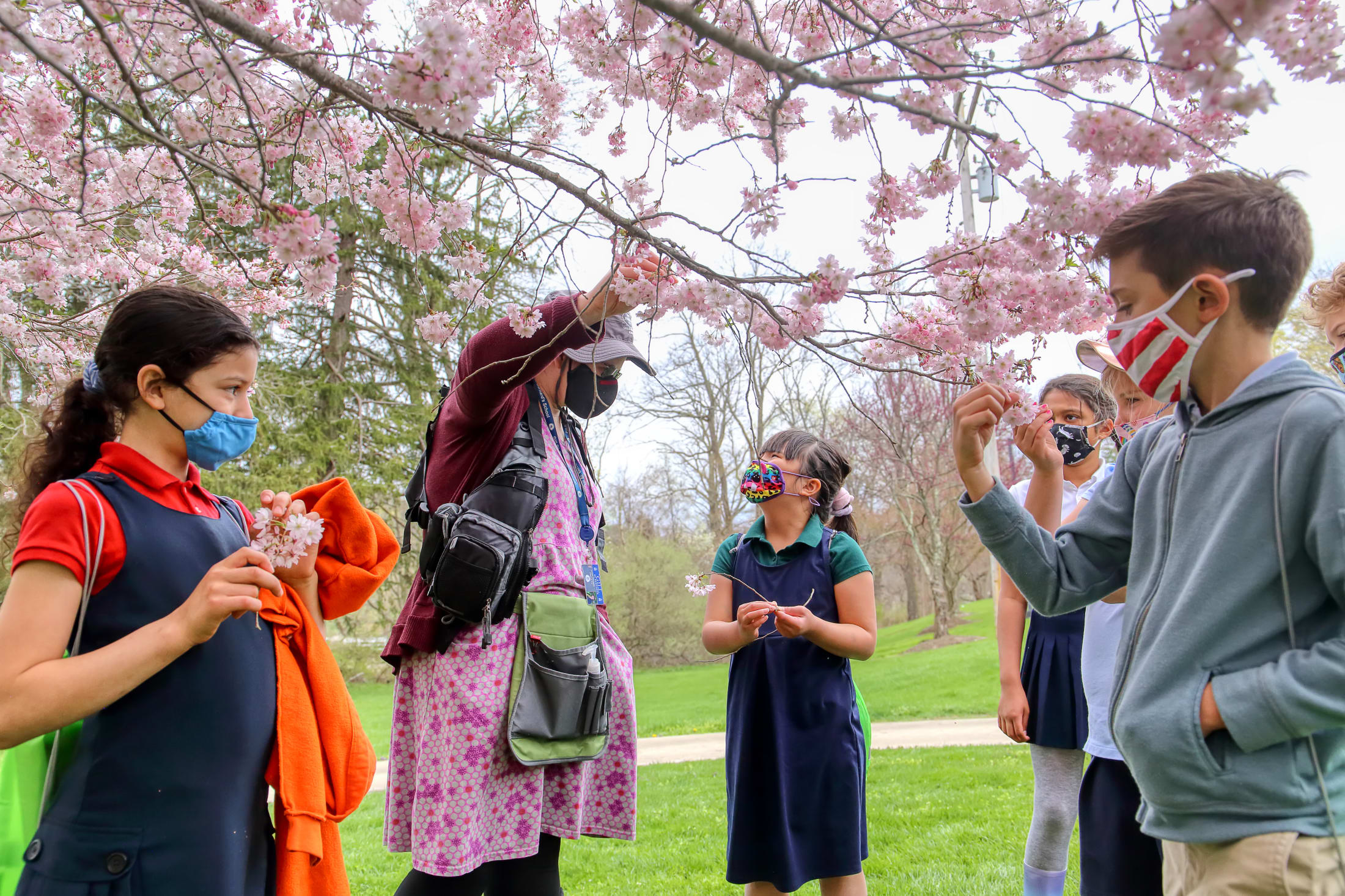 Gill St. Bernard’s School - NJ Family