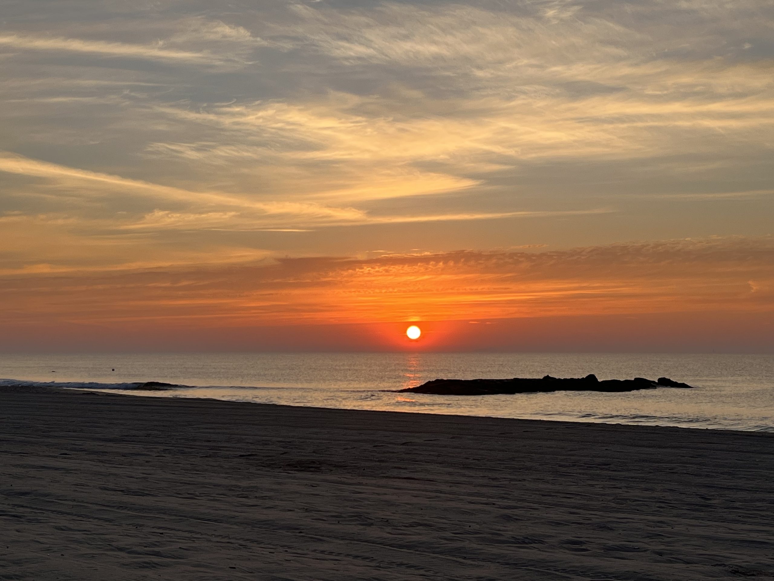 50 Free Things to Do In NJ This Summer - NJ Family