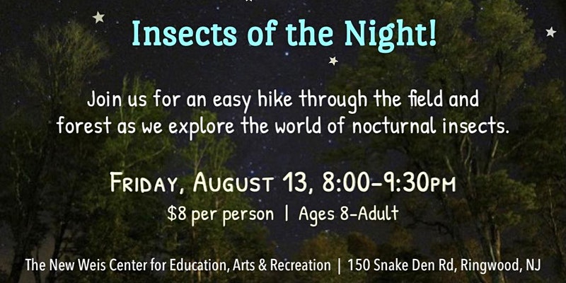 Insects of the Night Hike - NJ Family