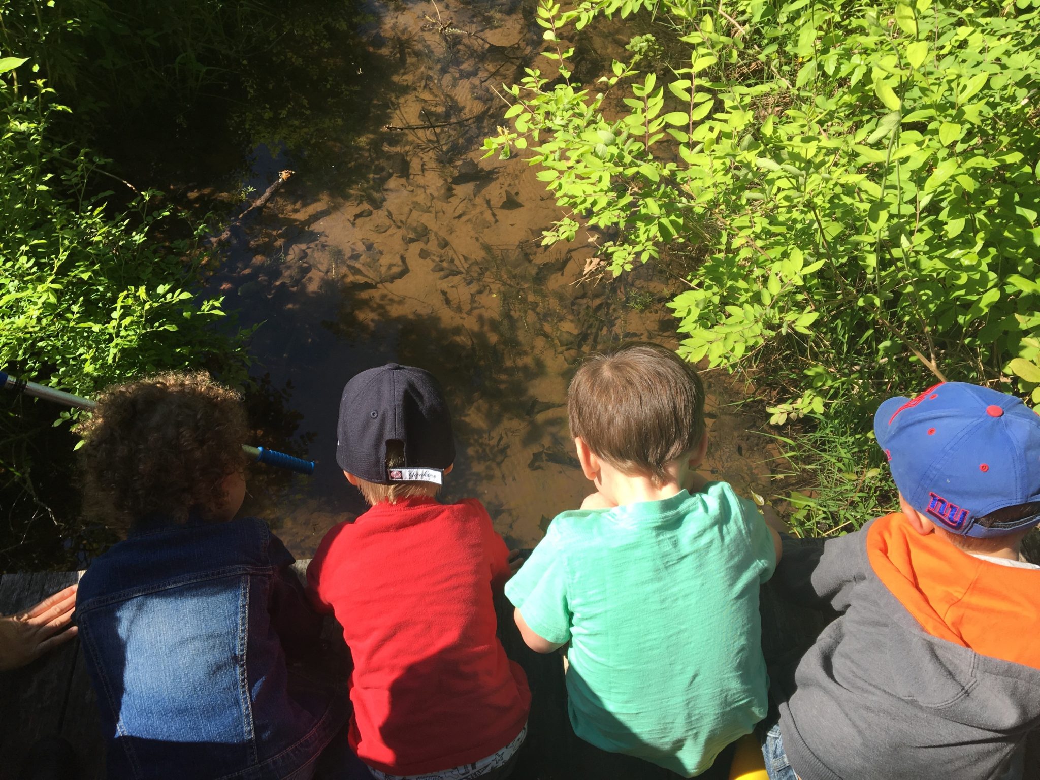 Bean Bags the Kids Will Love - NJ Family