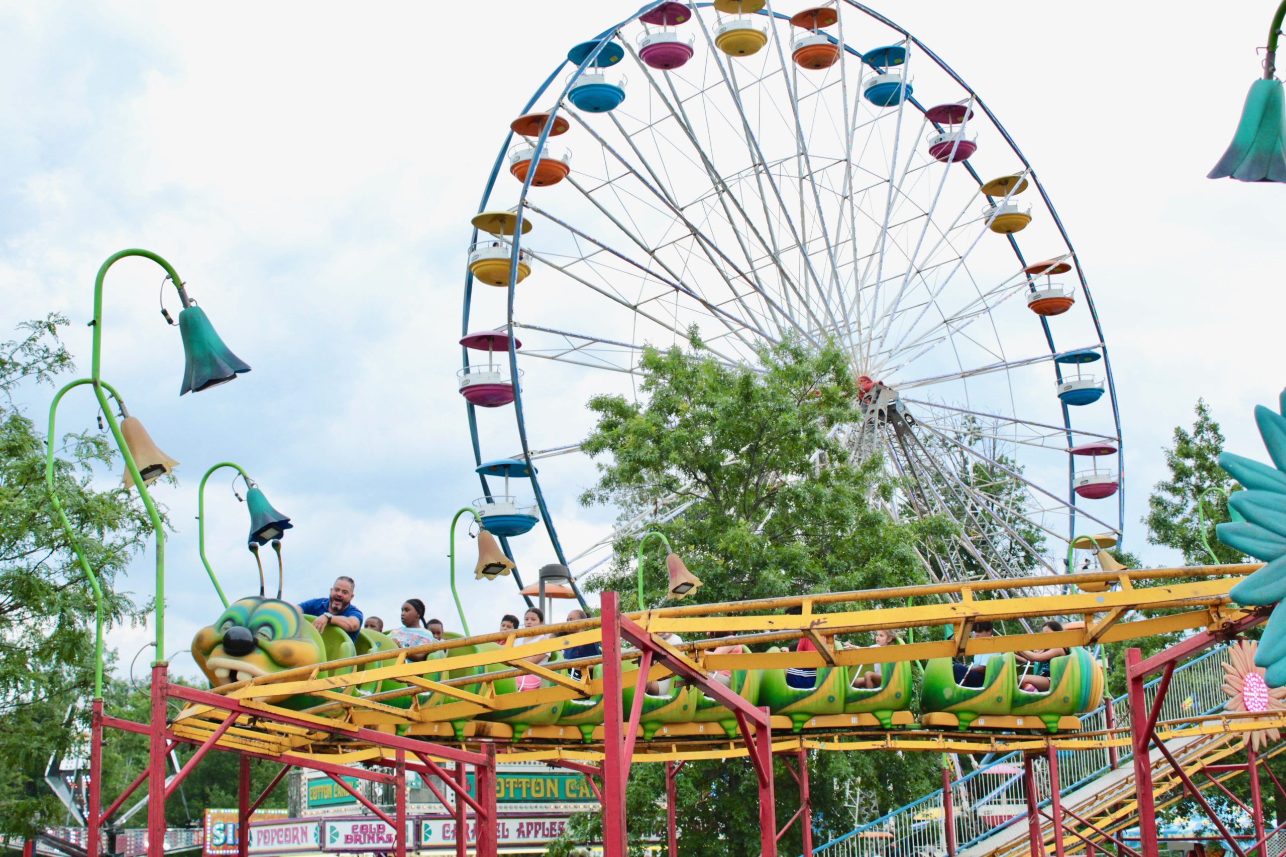 Free Things to Do in NJ in December - NJ Family