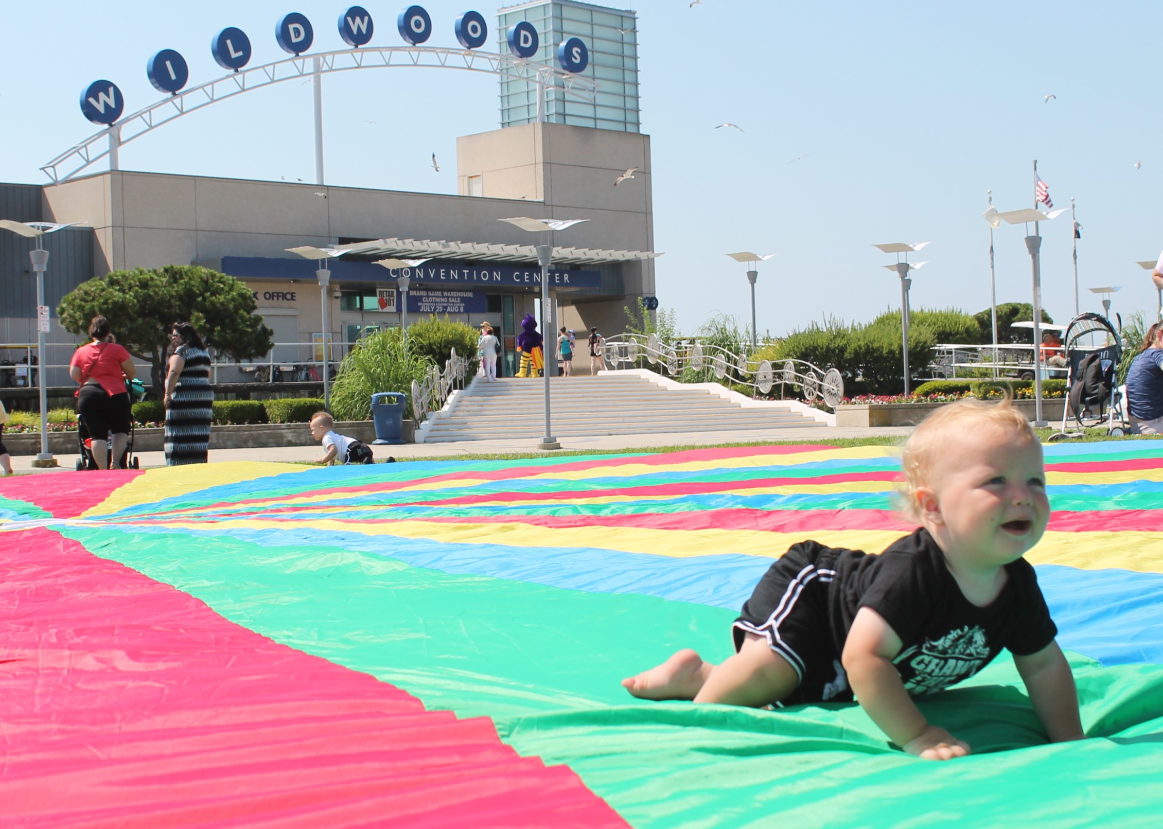 Where to Pick Your Own Blueberries in NJ - NJ Family
