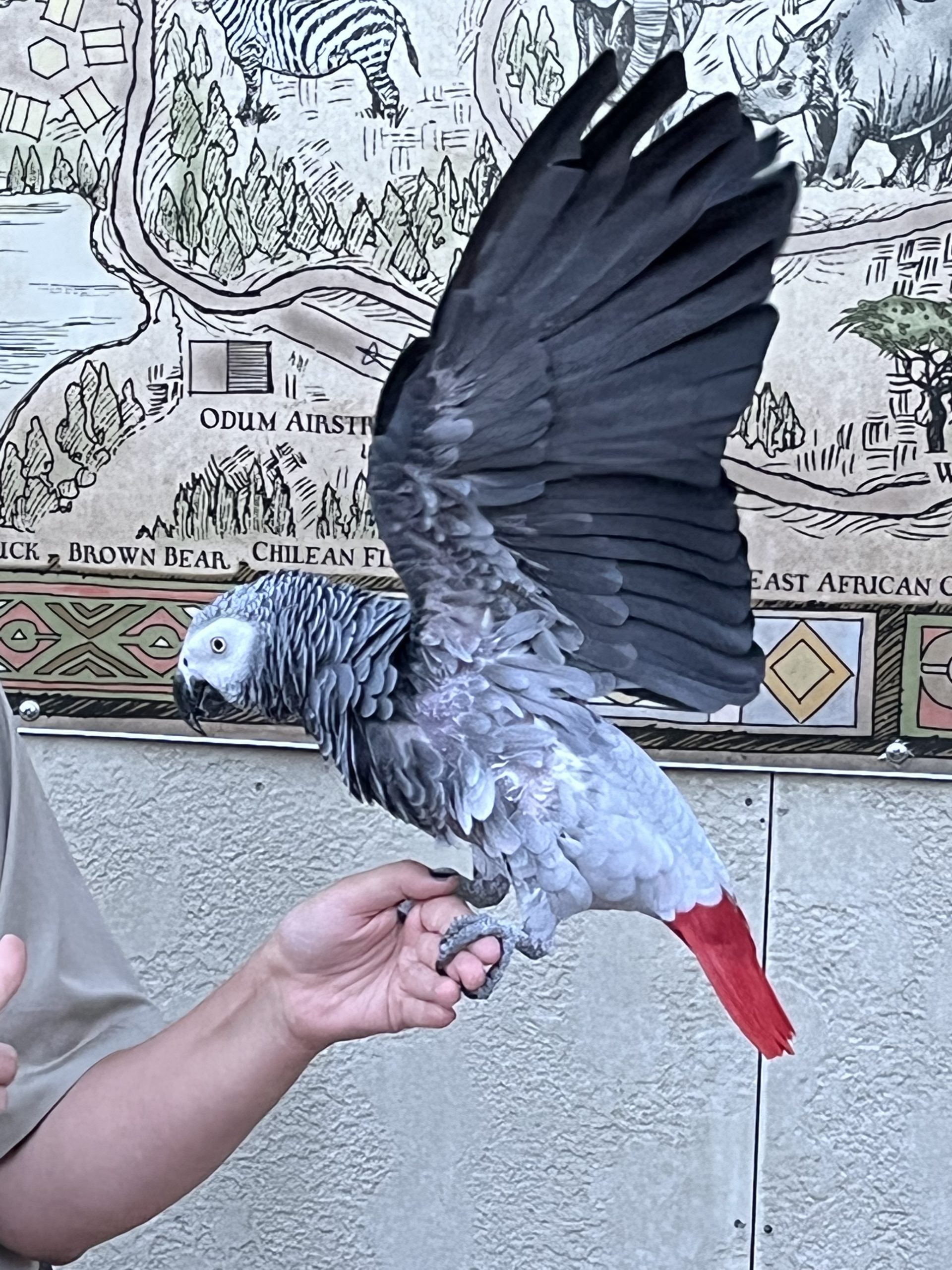 We Spent a Wild Night Camping at Six Flags Great Adventure's Safari ...